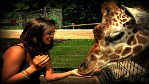 Experiences | Wildwood Wildlife Park Zoo & Safari