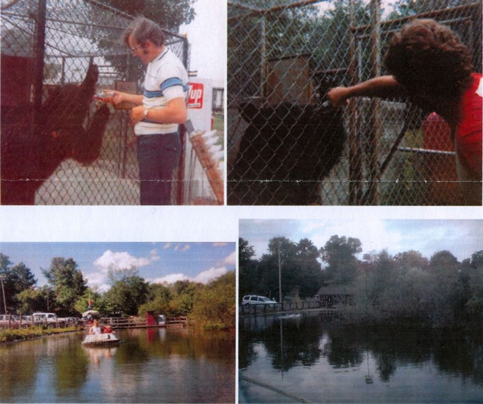 Our History | Wildwood Wildlife Park Zoo & Safari