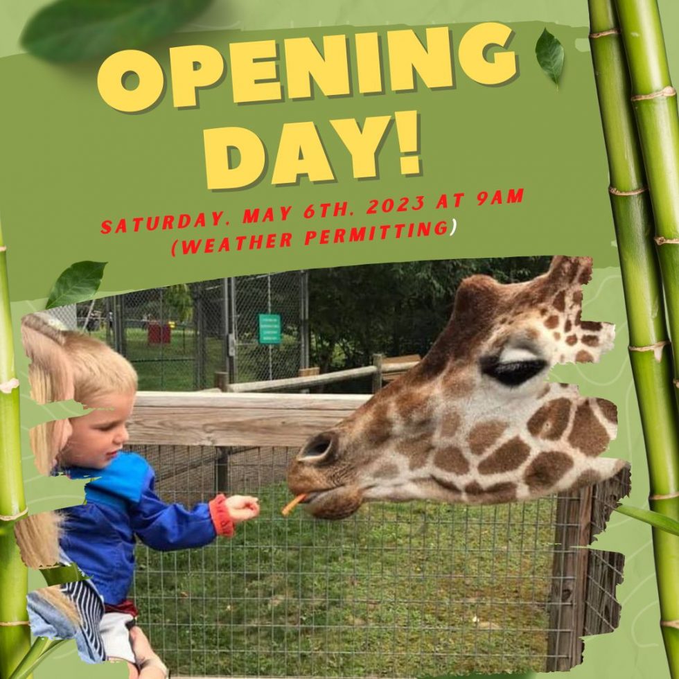 Wildwood Wildlife Park Zoo & Safari | Wisconsin